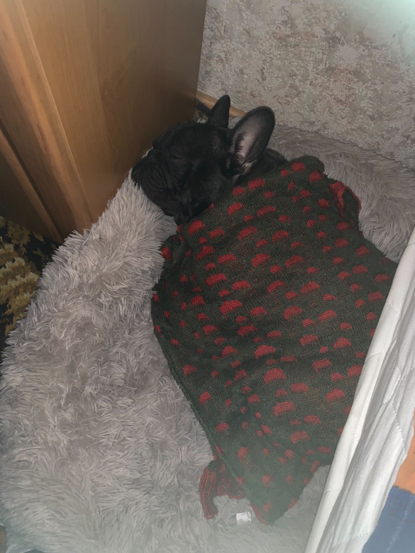 Work in Tech: як 2500 українців отримали нову професію попри блекаути ...